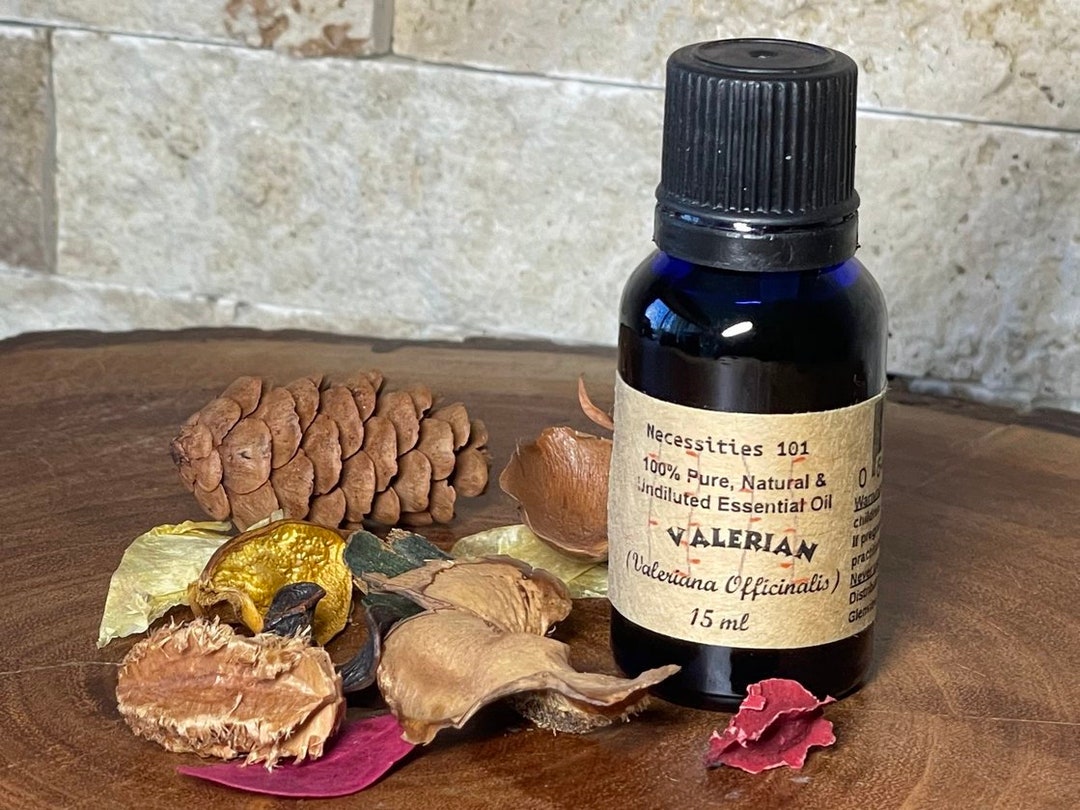 Valerian Root Essential Oil. 100% Pure and Natural Valeriana Officialis ...