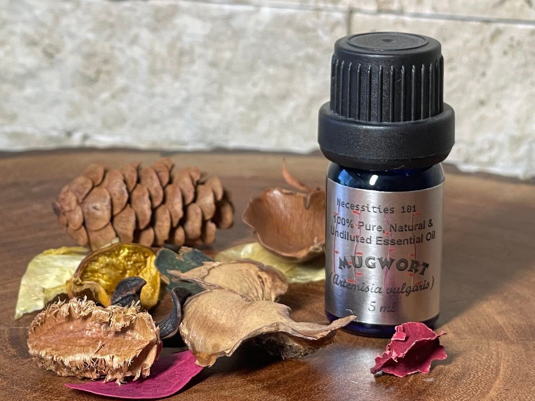 Mugwort Essential Oil. Pure & Natural Undiluted Artemisia Vulgaris ...