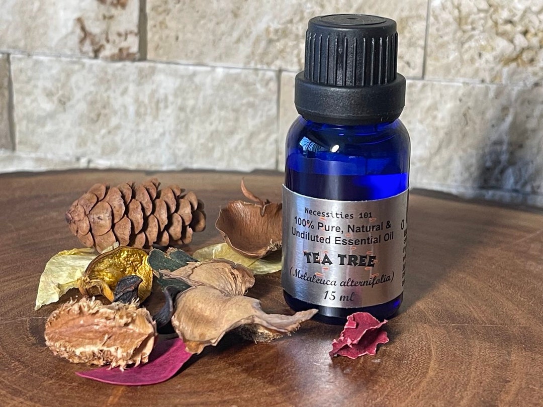 Tea Tree Essential Oil. Pure and Natural Melaleuca Alternifolia Oil ...
