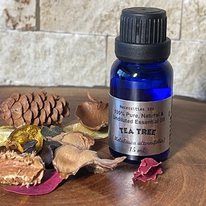 Tea Tree Essential Oil. Pure and Natural Melaleuca Alternifolia Oil ...