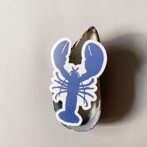 Blue Lobster Waterproof Sticker | Durable Vinyl Decal | Lobster ...
