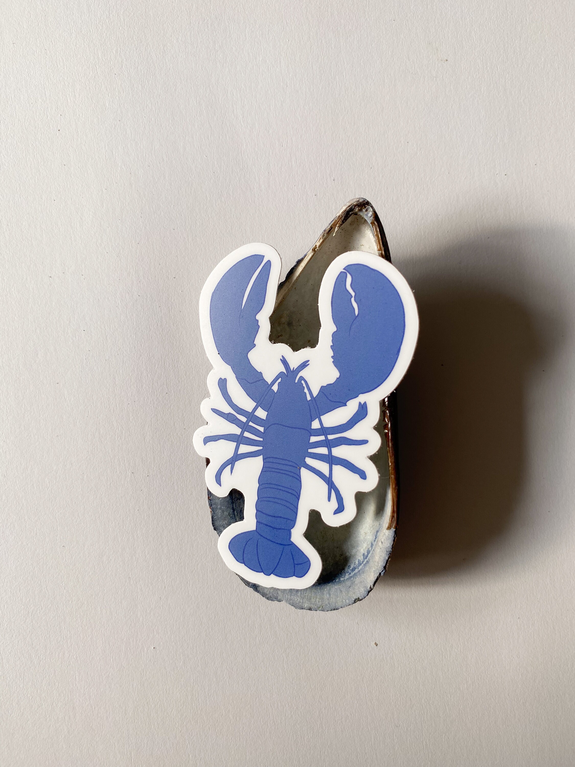 Blue Lobster Waterproof Sticker | Durable Vinyl Decal | Lobster ...