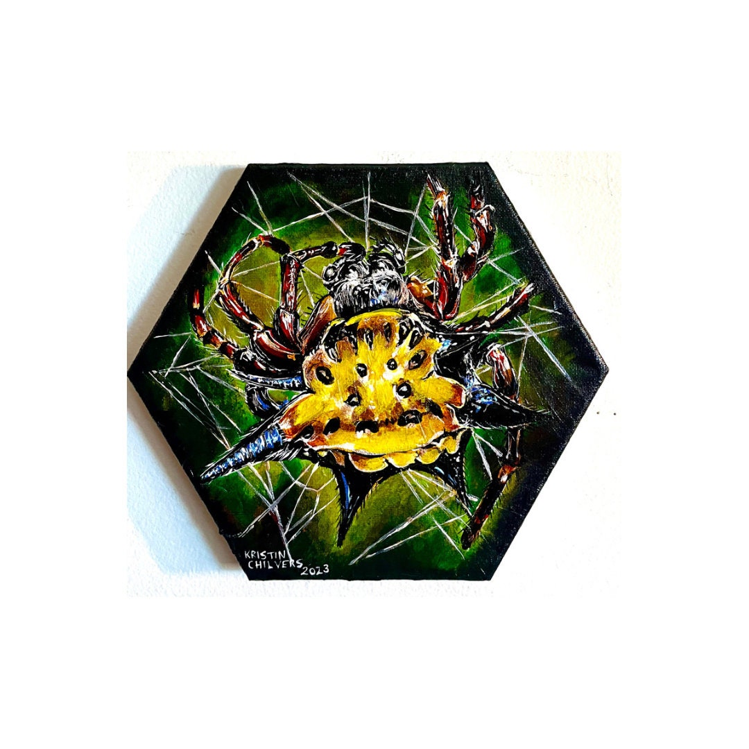 Spiny Orb Weaver Spider Painting - Etsy