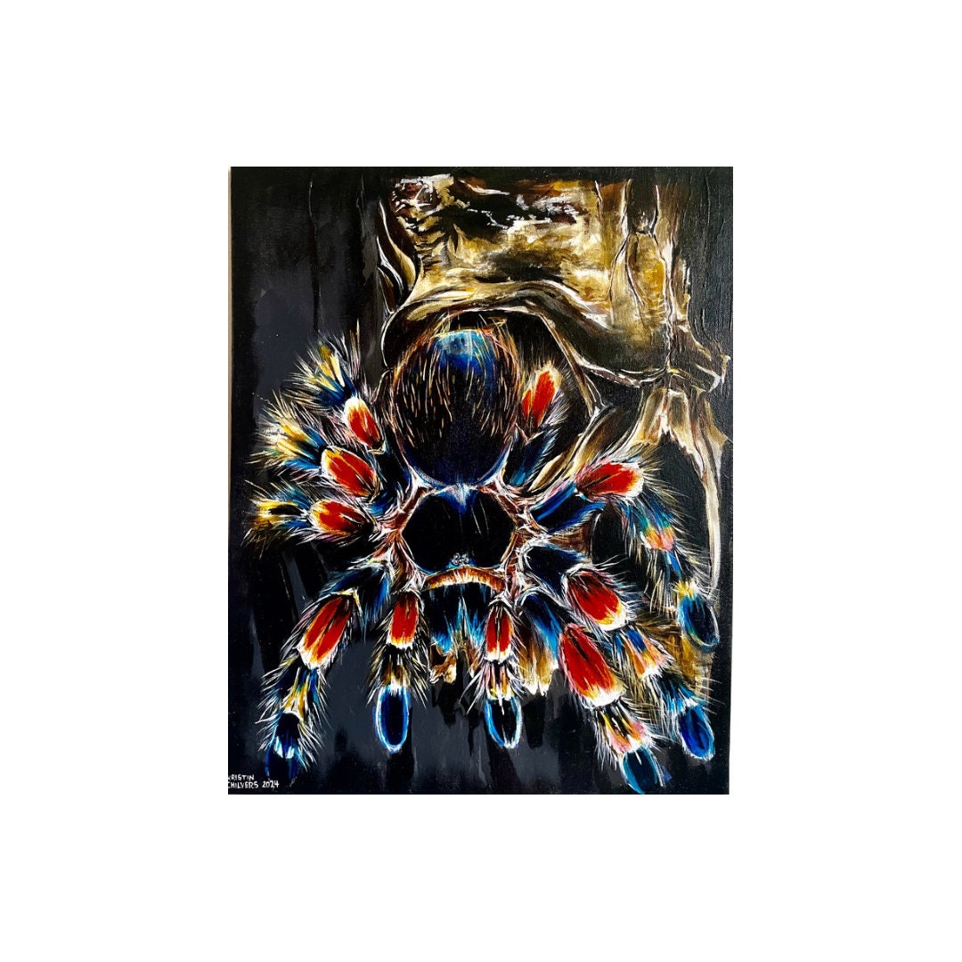 Mexican Red Knee Tarantula Painting - Etsy