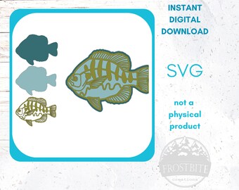 Sunfish Png - Etsy