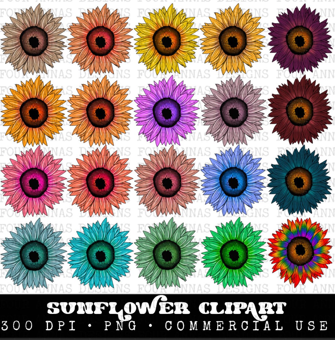 Sunflower, Elements, Clipart, PNG, Farmhouse, Clipart Set, Bundle, Warm ...
