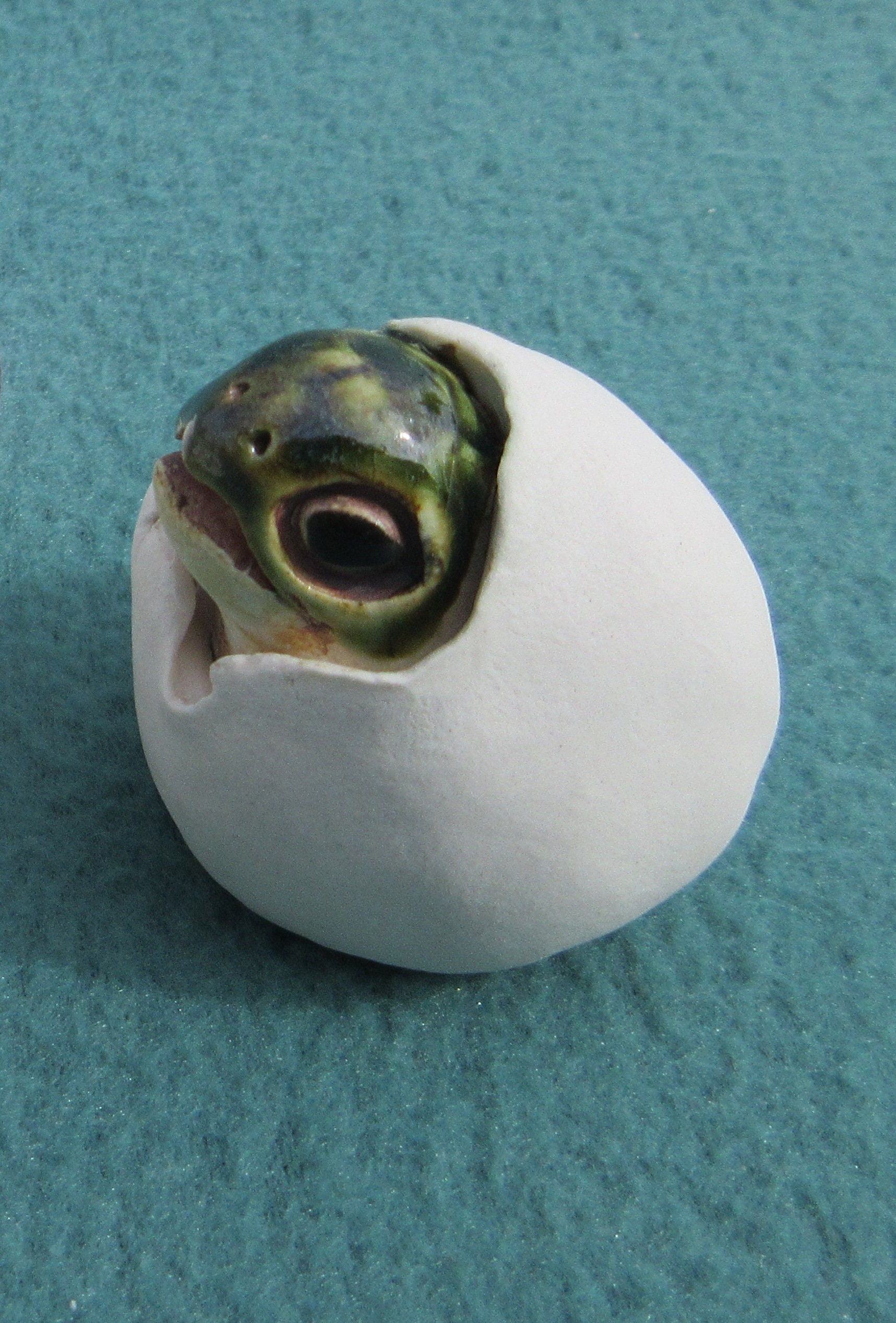 Peeper 2 of 7: Life-size, Hand-crafted Ceramic Sea Turtle Hatchling ...