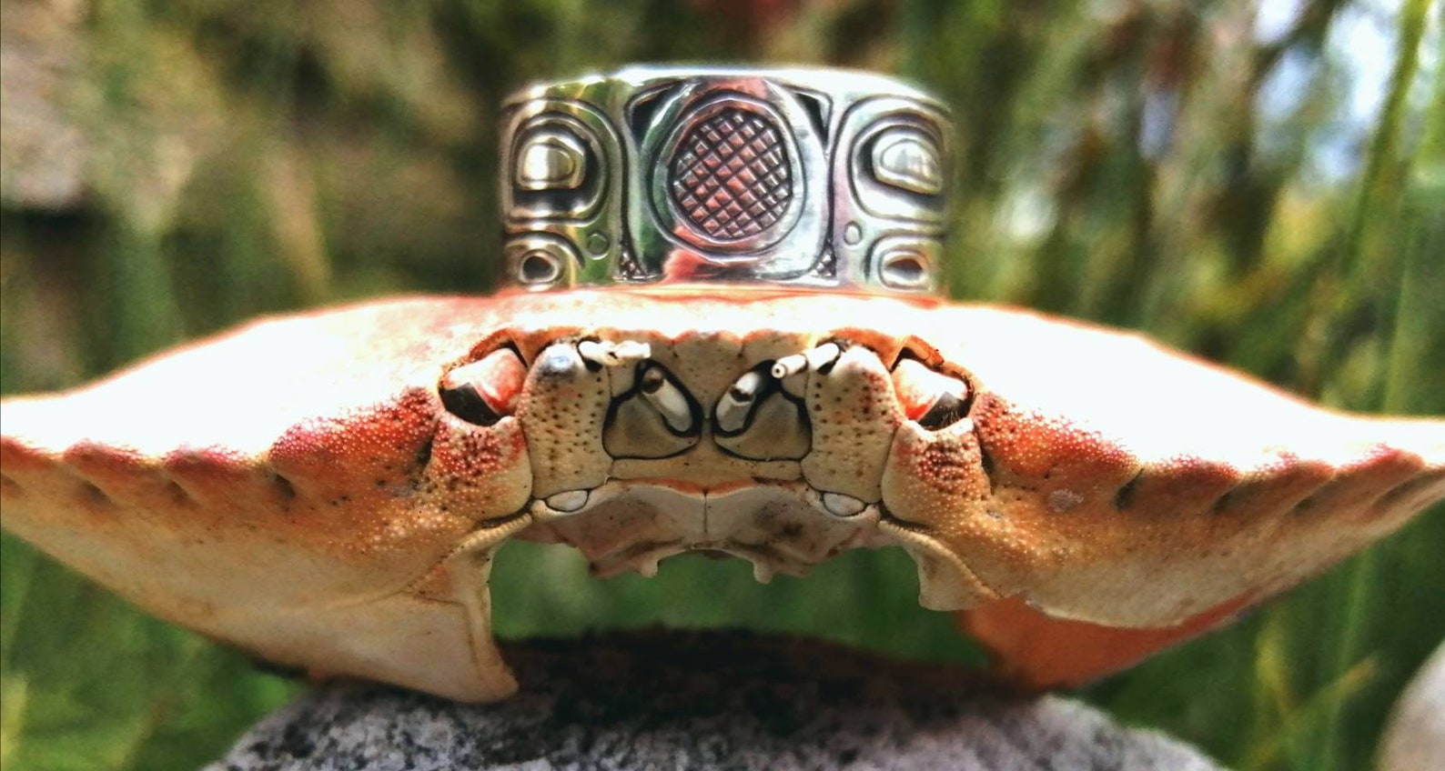 Silver Native Beaver Ring Northwest Coast Arthaida Beaver - Etsy Canada
