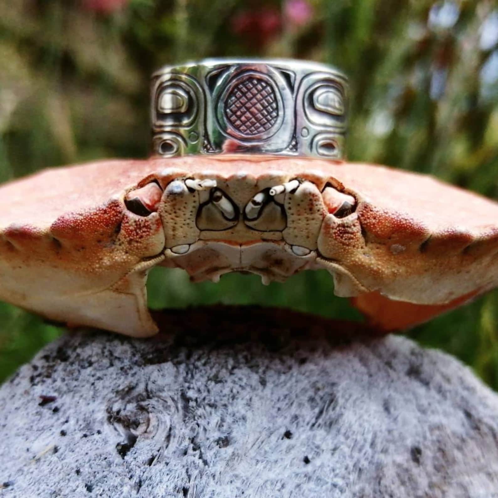 Silver Native Beaver Ring Northwest Coast Arthaida Beaver - Etsy Canada