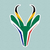 Springbok Face Sticker South Africa Flag Distressed Hier Kom Die Bokke ...