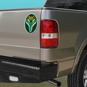 Bok Befok Springbok Face South Africa Flag Stickers | Hier Kom Die ...