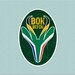 Bok Befok Springbok Face South Africa Flag Stickers | Hier Kom Die ...