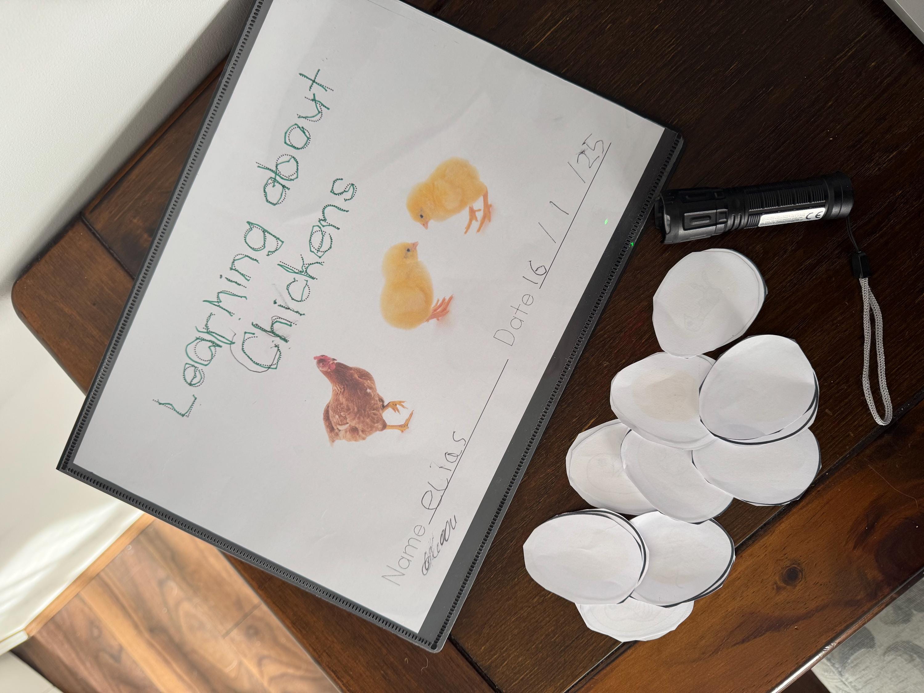 Learn About Chickens & Chicken Lifecycle - Preschool Unit Project ...