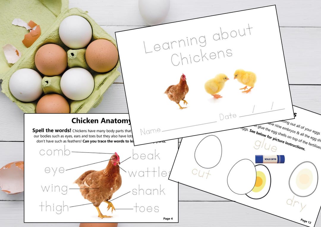 Learn About Chickens & Chicken Lifecycle - Preschool Unit Project ...