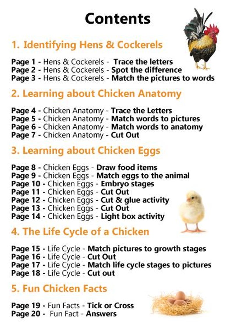 Learn About Chickens & Chicken Lifecycle - Preschool Unit Project ...