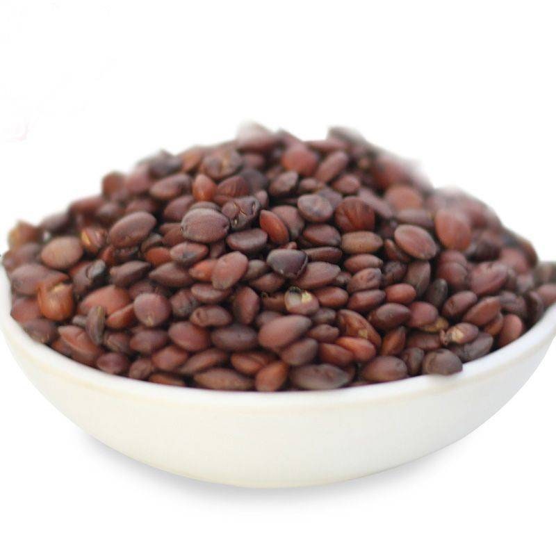 Dried Sour Jujube Seeds cooked Ziziphus J. 酸棗仁 16 Oz - Etsy