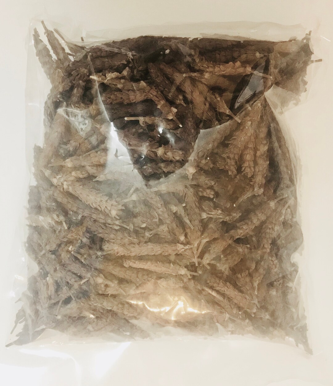 Prunella Herb (dried Fruit Spike) 夏枯草 16 Oz - Etsy