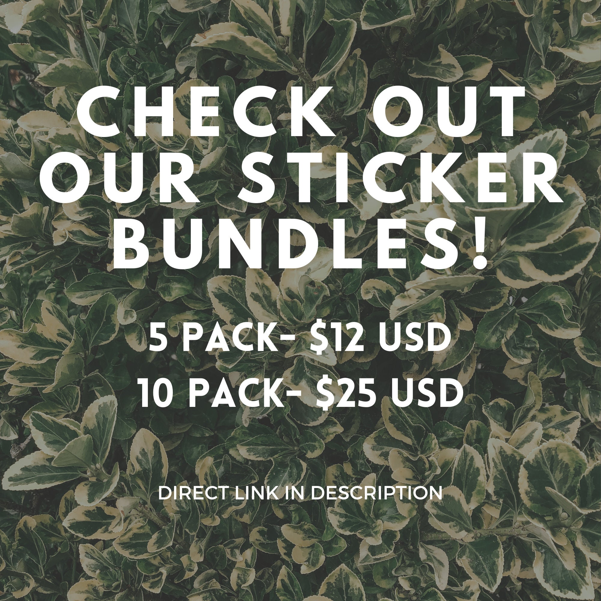 Trans Pride Trans Sticker Transgender Bumper Sticker Trans - Etsy