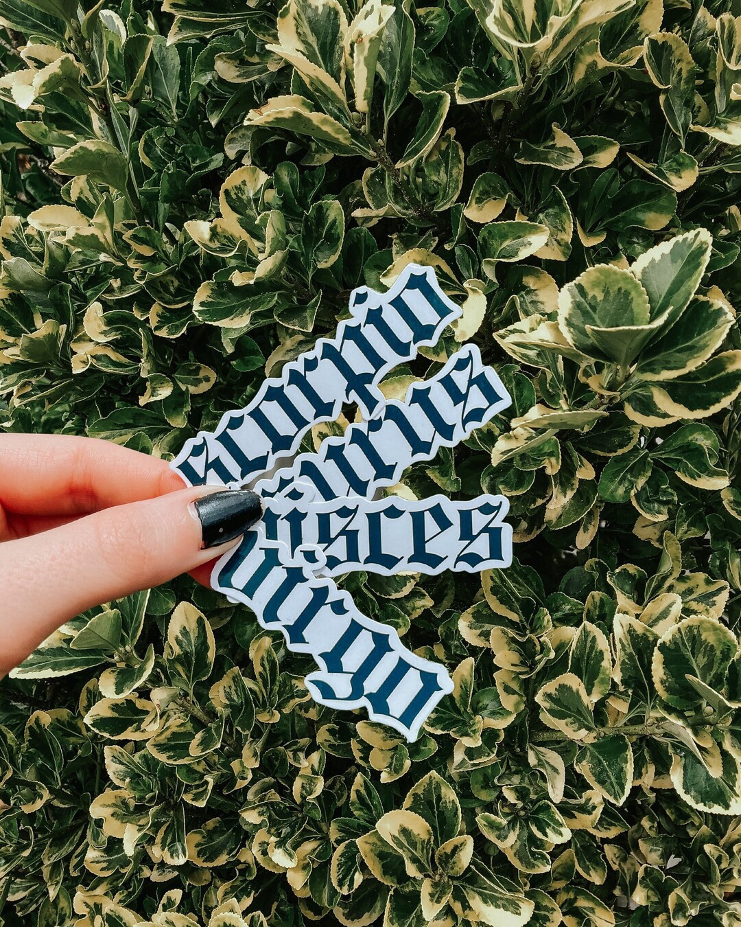 Zodiac Stickers, Astrology Stickers, Pisces, Taurus, Aries, Aquarius ...