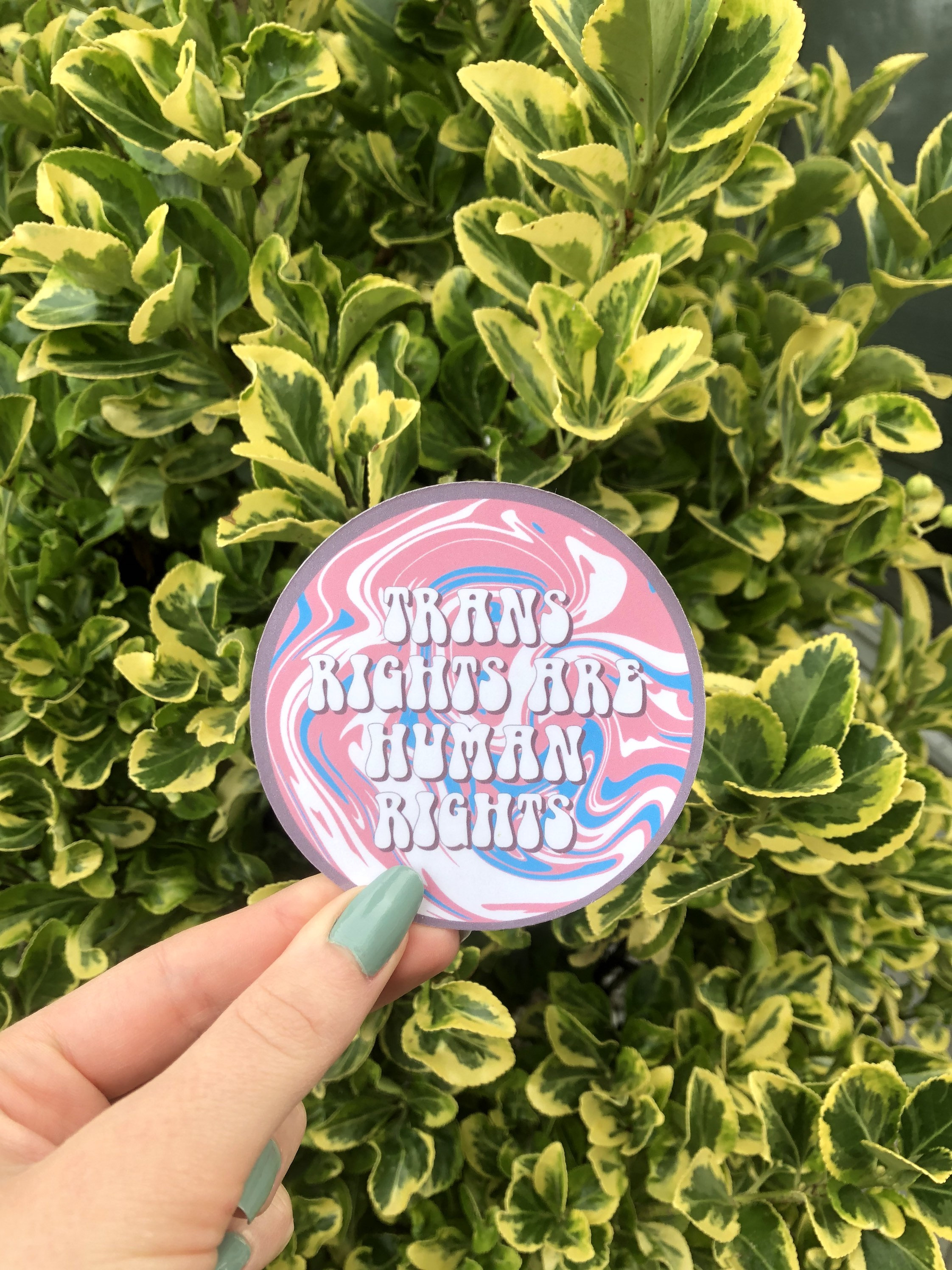 Trans Pride Trans Sticker Transgender Bumper Sticker Trans - Etsy