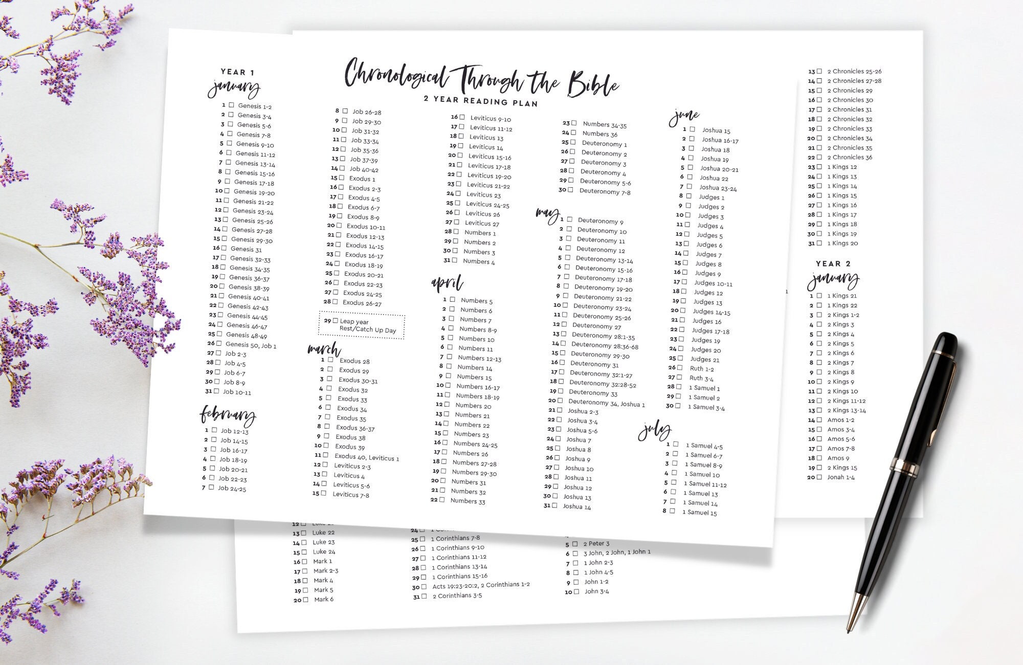 Bible Chronological Two-year Reading Plan 8.5x11 Printable - Etsy