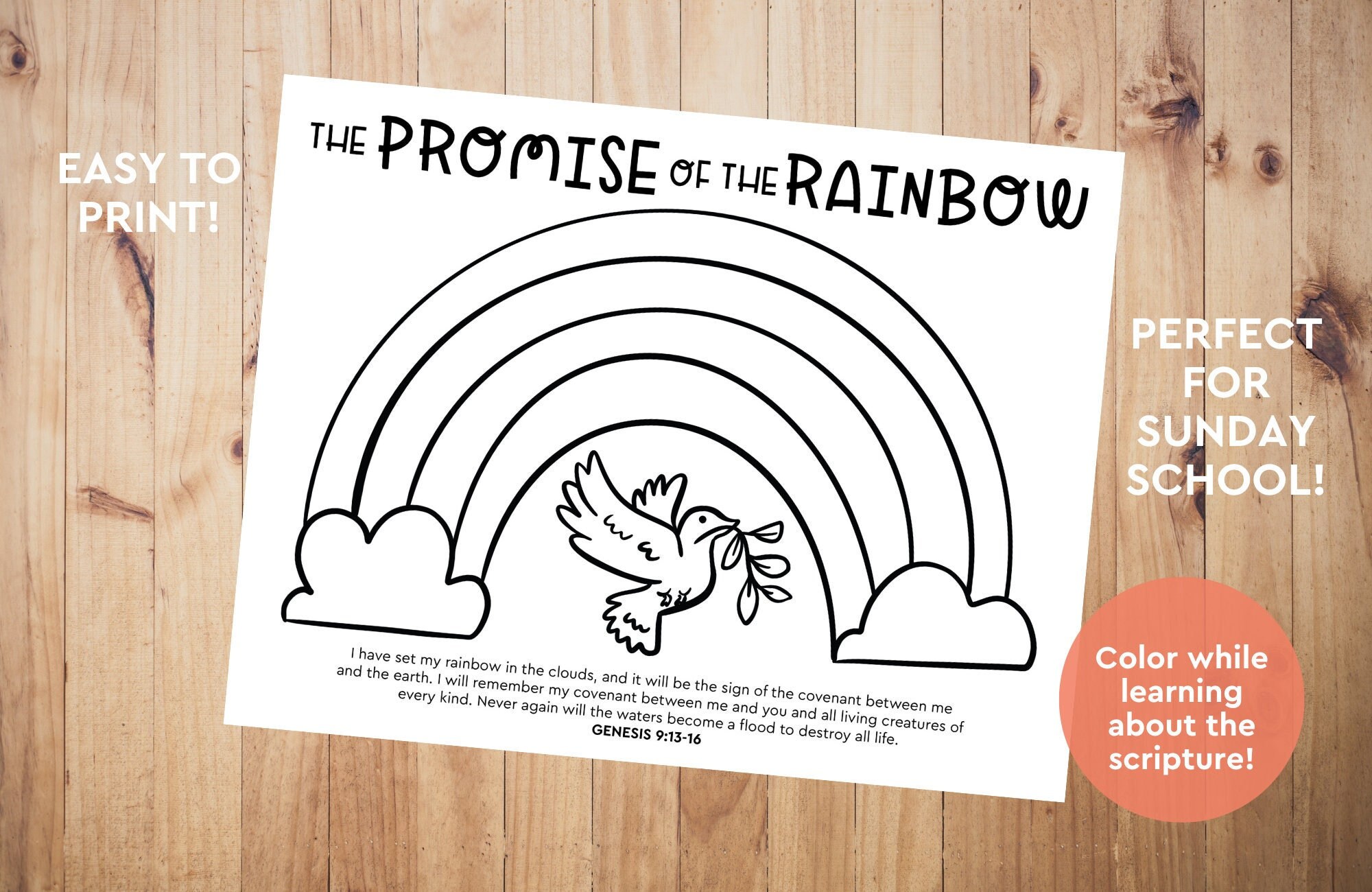 Rainbow Noah's Ark Printable Bible for Kids Sunday - Etsy
