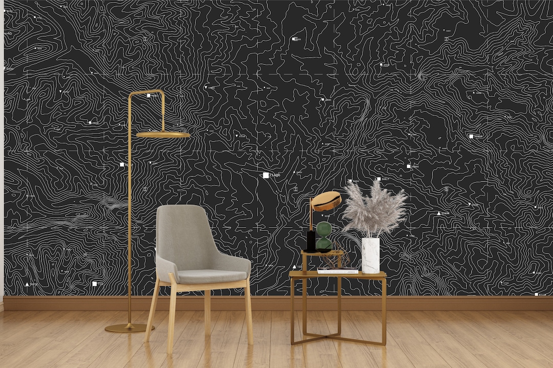 Black and White Topographic Map Peel and Stick Wallpaper | Wall Mural ...