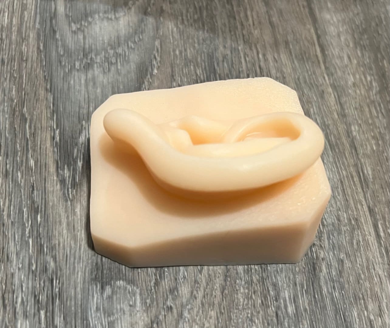 Lifelike Life Size Human Silicone Ears Prosthetic Jewelry - Etsy