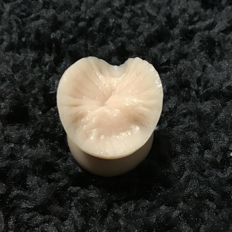 Inflatable Knot - Etsy