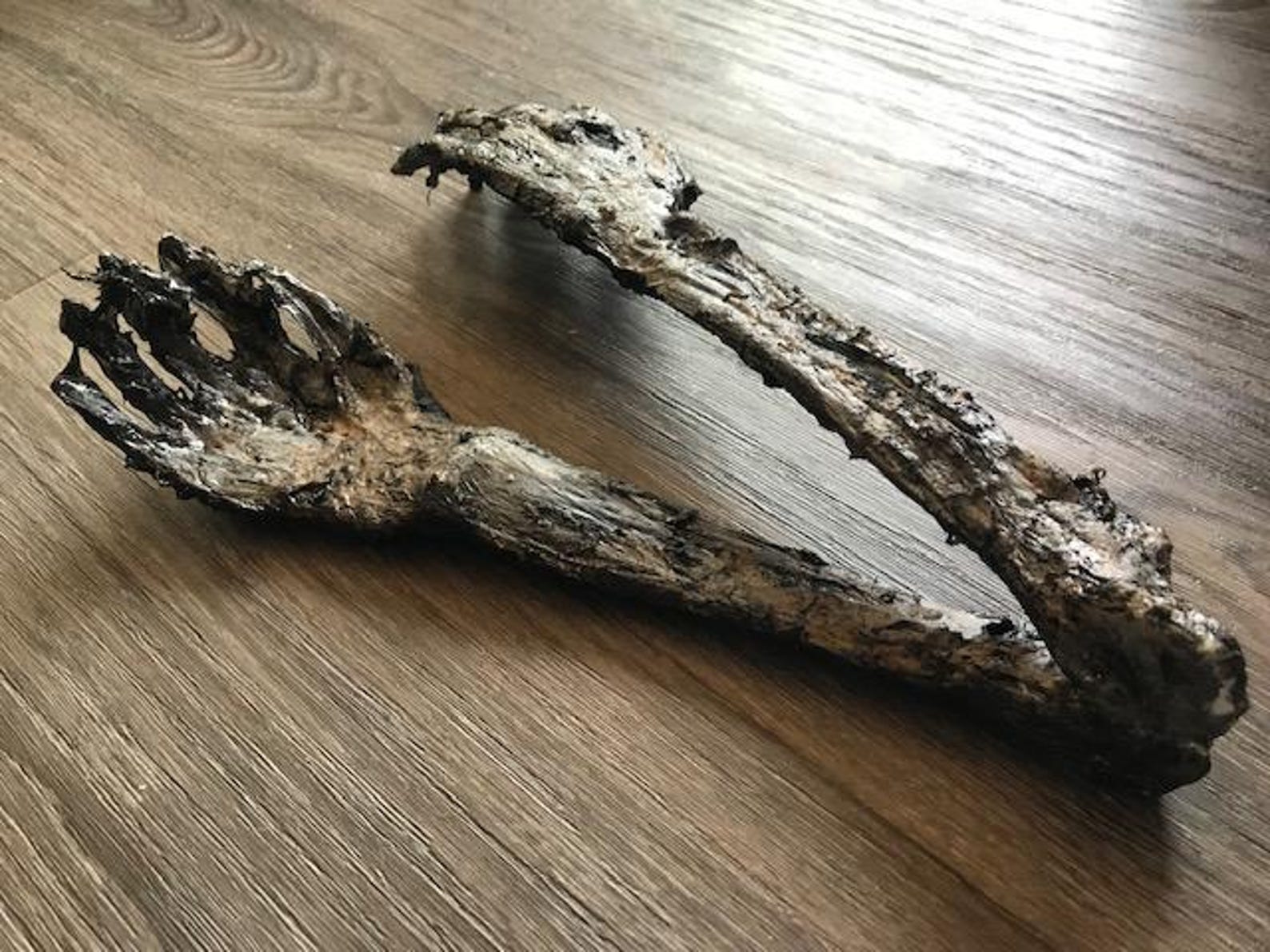 Burned Corpse Arms Realistic Hand Made Lifelike Life Size Zombie Horror ...