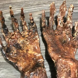 Rotting Corpse Arms Realistic Hand Made Lifelike Life Size Zombie ...