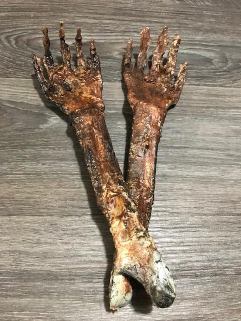 Rotting Corpse Arms Realistic Hand Made Lifelike Life Size Zombie ...