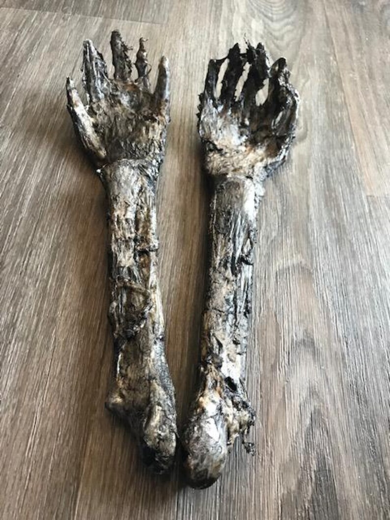 Burned Corpse Arms Realistic Hand Made Lifelike Life Size Zombie Horror ...