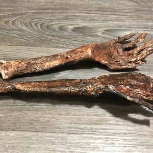 Rotting Corpse Arms Realistic Hand Made Lifelike Life Size Zombie ...