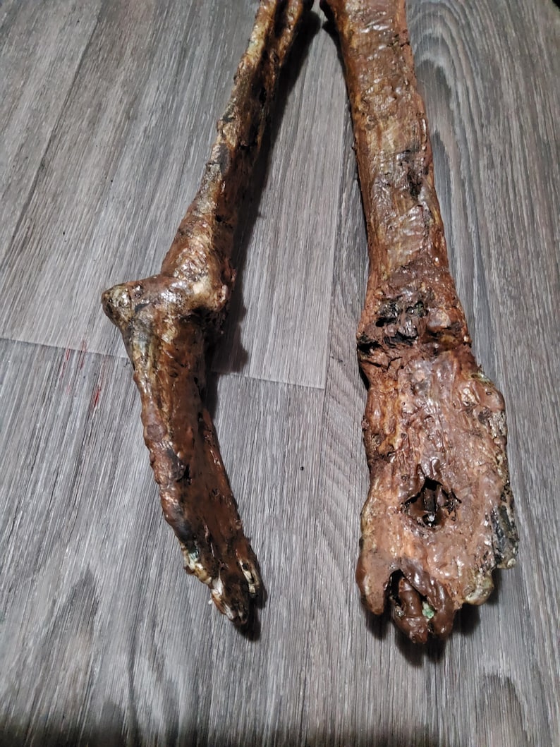 Rotting Corpse Legs Realistic Hand Made Lifelike Life Size Zombie ...
