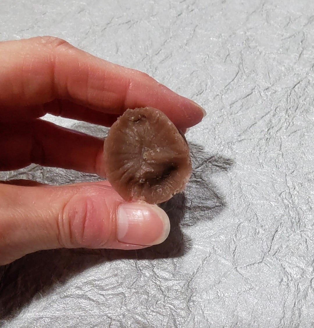 Lifelike Life Size-dark Flesh Skin-balloon Knot Butthole Butt Plug ...