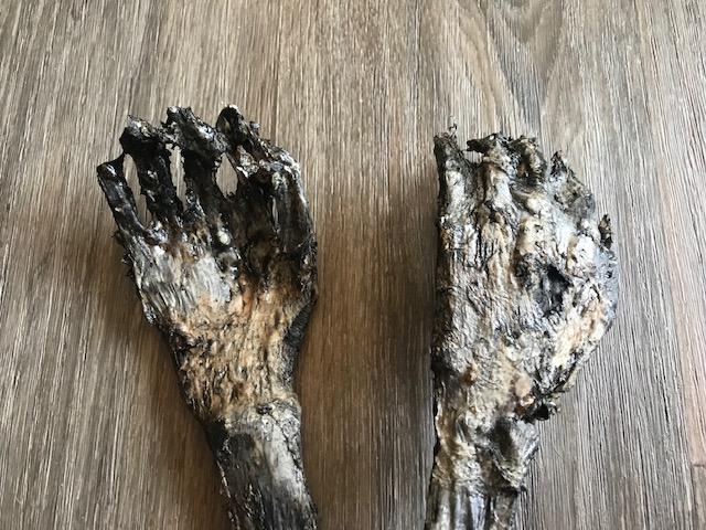 Burned Corpse Arms Realistic Hand Made Lifelike Life Size Zombie Horror ...