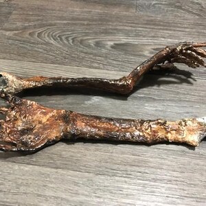 Rotting Corpse Arms Realistic Hand Made Lifelike Life Size Zombie ...