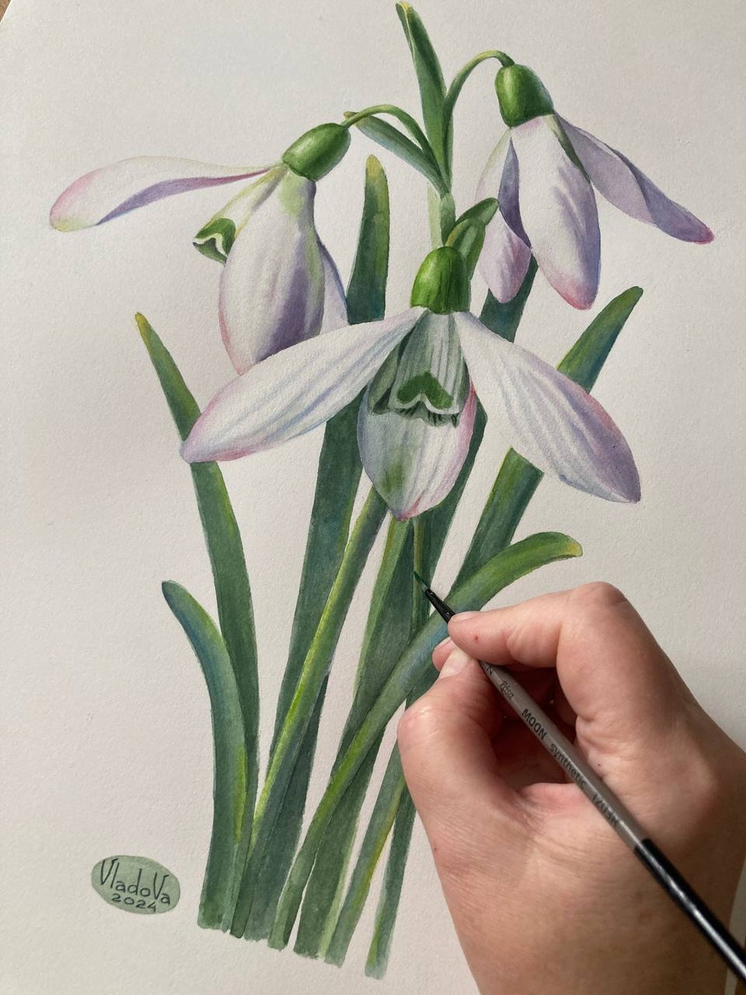 Snowdrops Original Watercolor Painting Botanical Art Realistic Wall Art ...