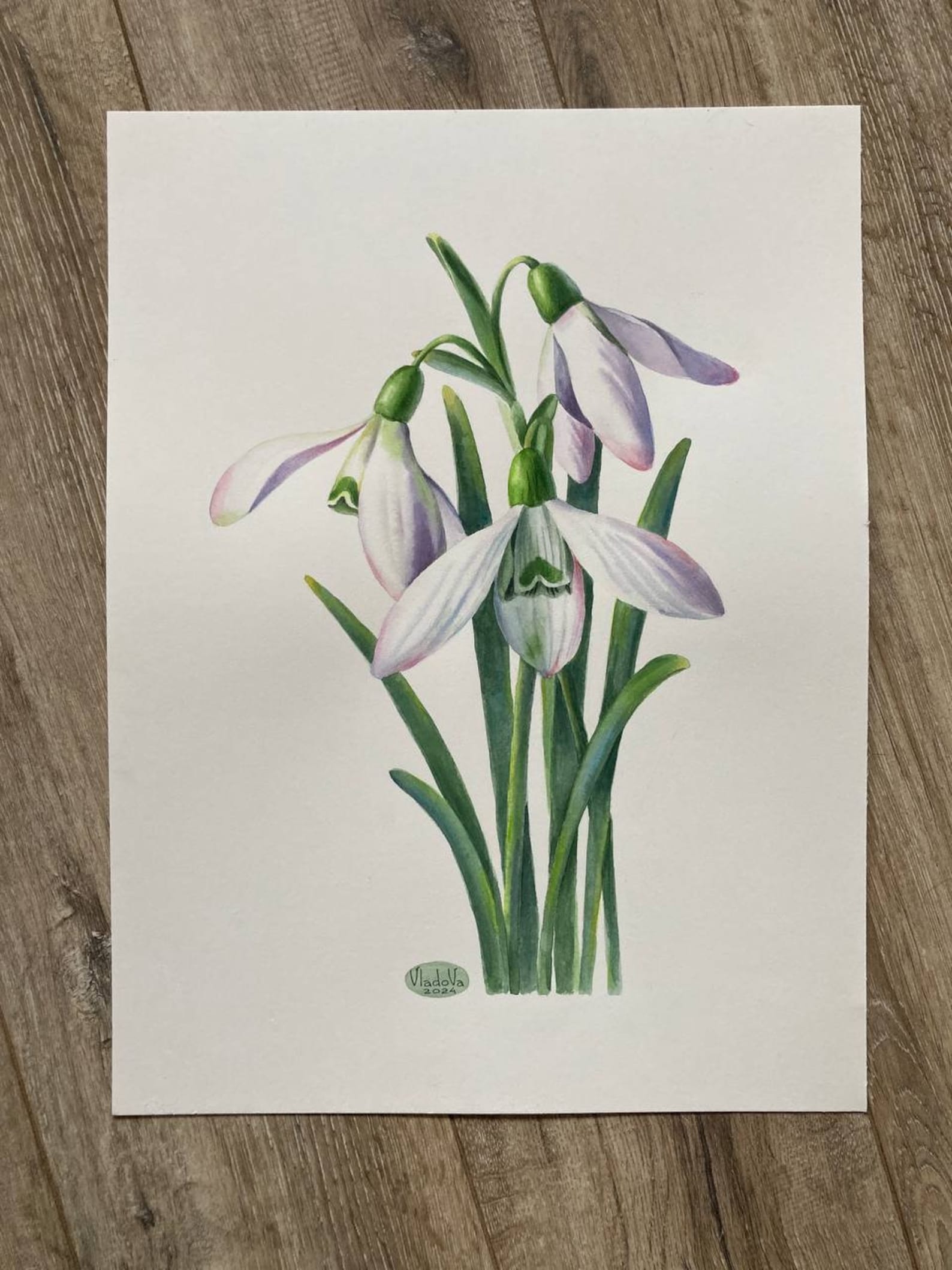 Snowdrops Original Watercolor Painting Botanical Art Realistic Wall Art ...