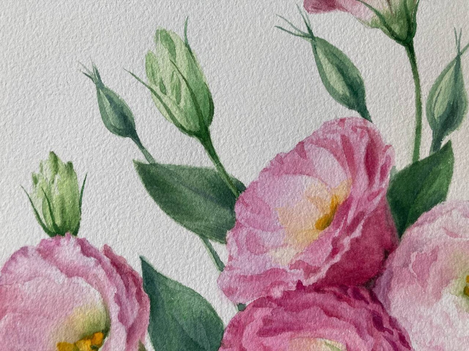 Eustoma Original Watercolor Painting Botanical Art Realistic Wall Art ...