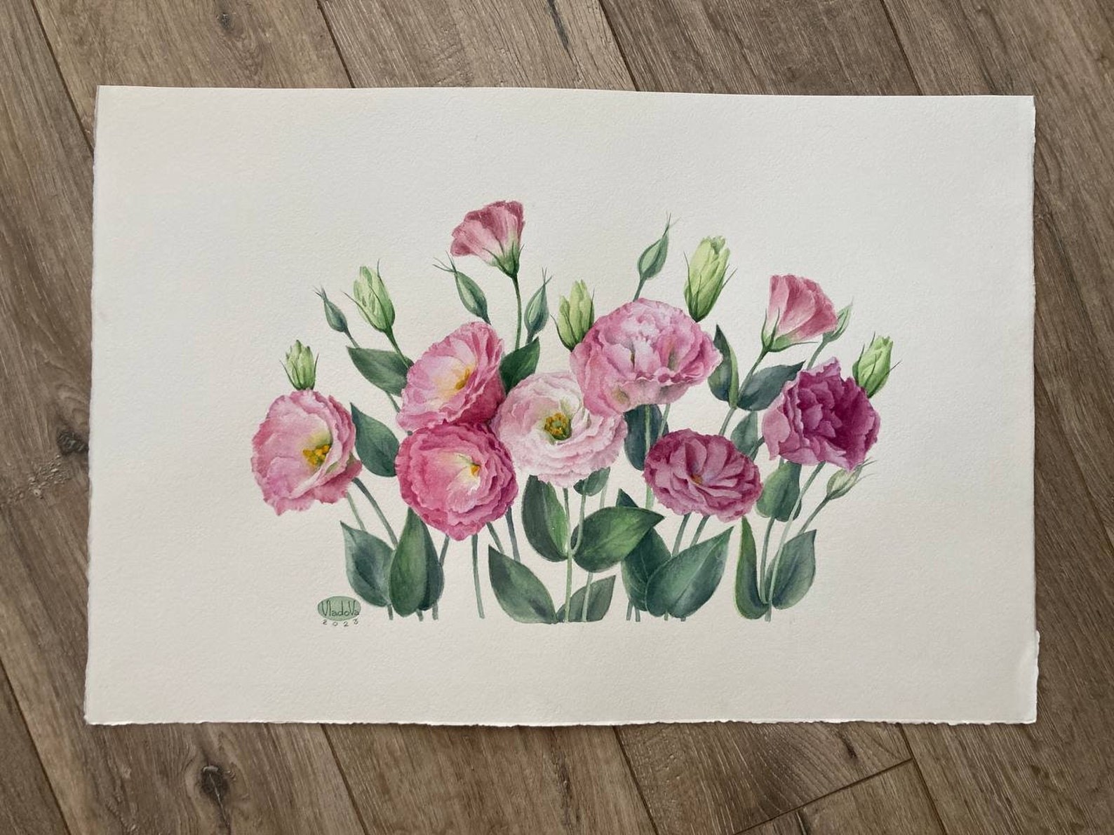 Eustoma Original Watercolor Painting Botanical Art Realistic Wall Art ...