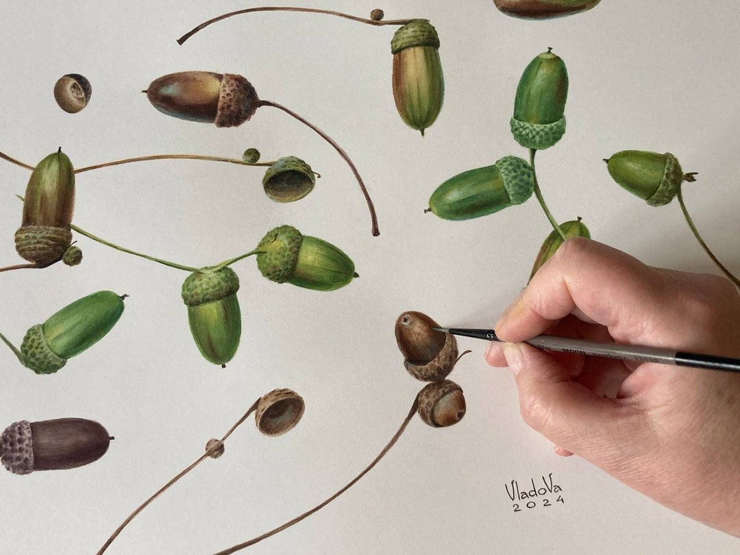 Acorns Original Watercolor Painting Botanical Art Realistic Wall Art ...