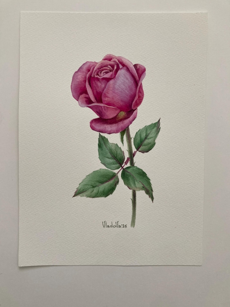 Original Rose Watercolor Painting Botanical Art Realistic Wall Art Hand ...