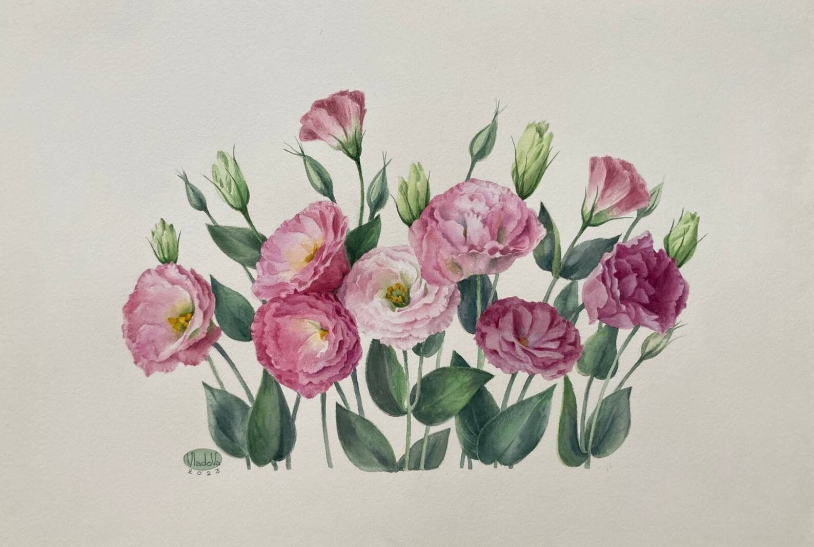 Eustoma Original Watercolor Painting Botanical Art Realistic Wall Art ...