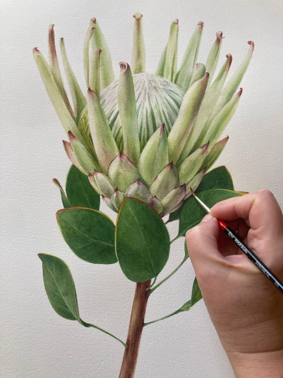 Original Protea Watercolor Painting Botanical Wall Art Handmade Artwork ...