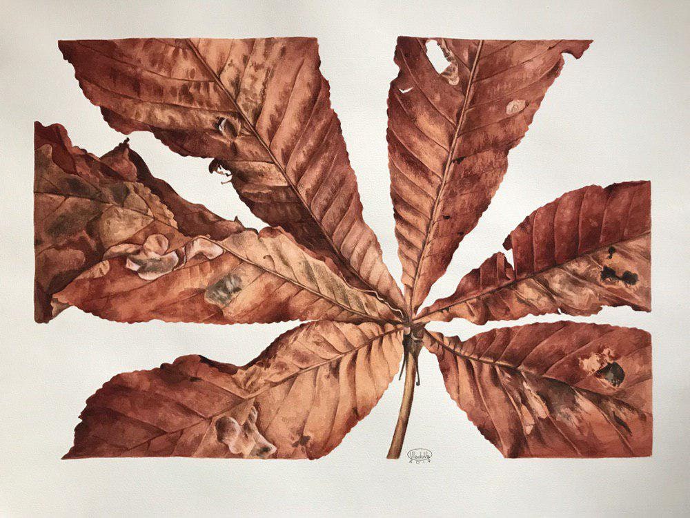 Chestnut Leaf Watercolor Painting Original Watercolor - Etsy UK
