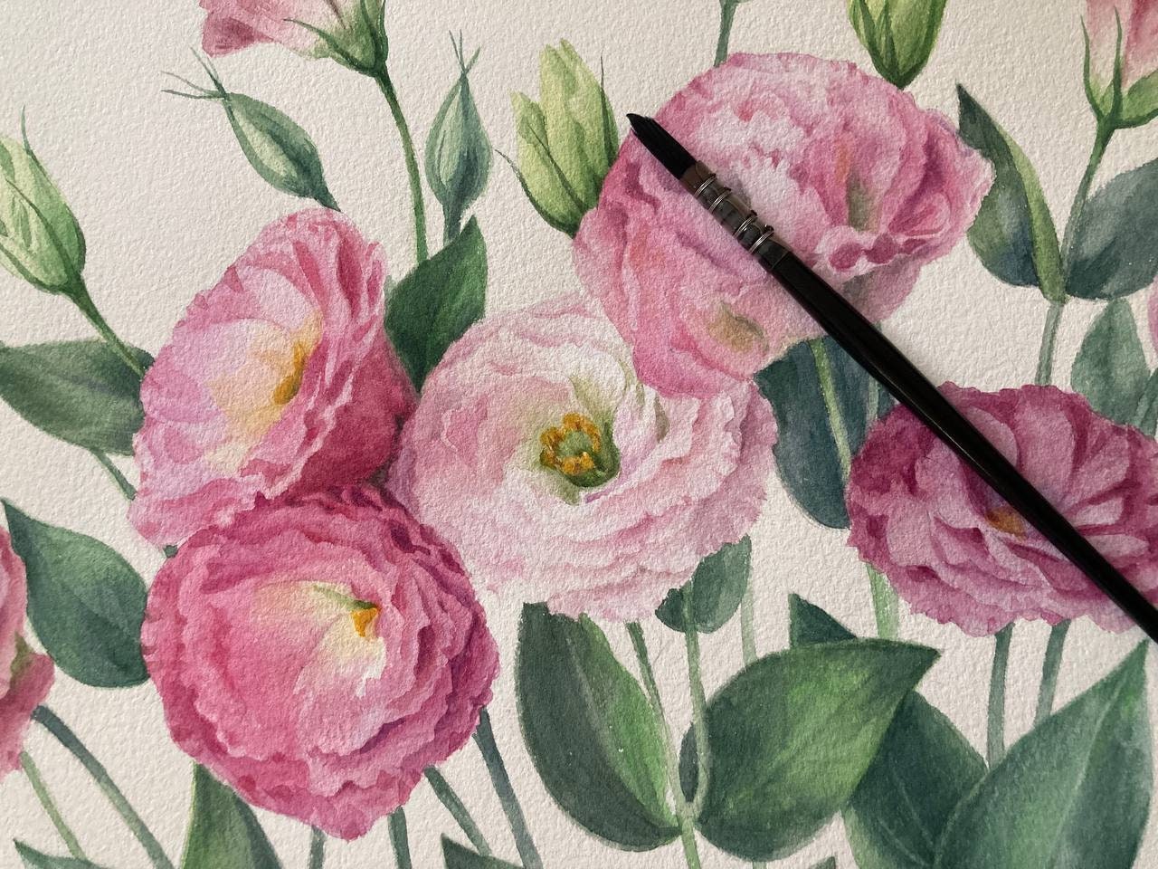 Eustoma Original Watercolor Painting Botanical Art Realistic Wall Art ...