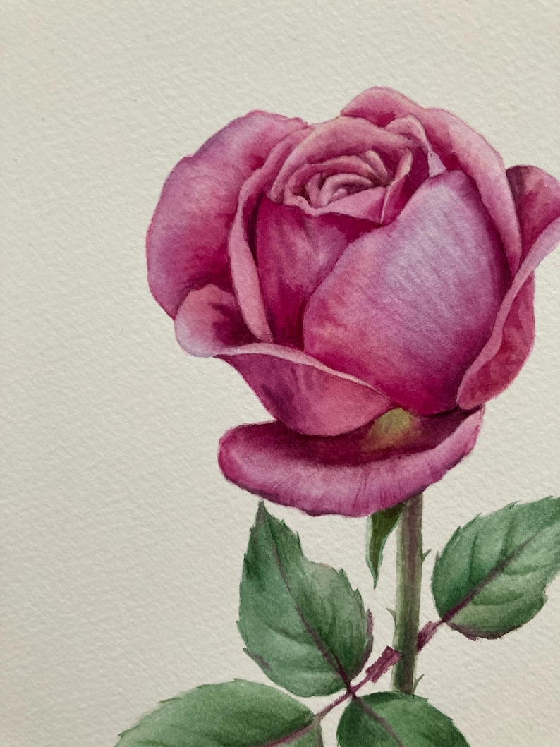 Original Rose Watercolor Painting Botanical Art Realistic Wall Art Hand ...