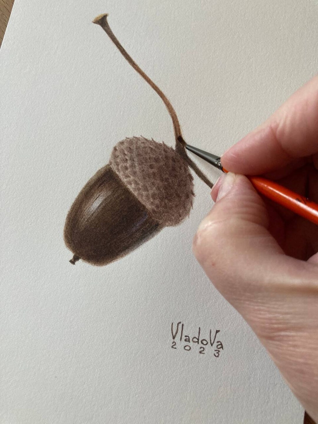 Acorn Original Watercolor Painting Botanical Art Realistic Wall Art ...